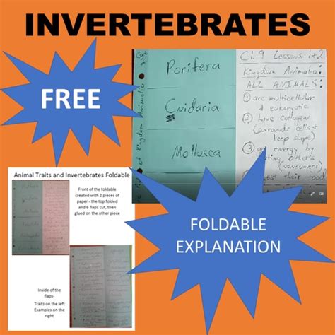 Animal Traits And Invertebrates Foldable Video By Keepitsimplestudents
