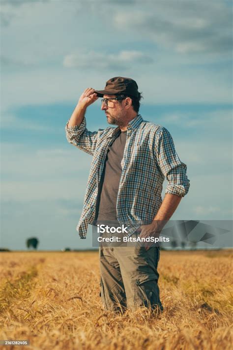 잘 익은 밀밭에 서서 지평선과 맑은 하늘을 바라보며 수확할 준비가 된 작물을 바라보는 남자 농부 농업에 대한 스톡 사진 및 기타 이미지 Istock