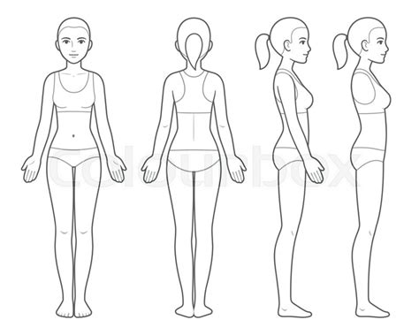Outline Of Human Body Template