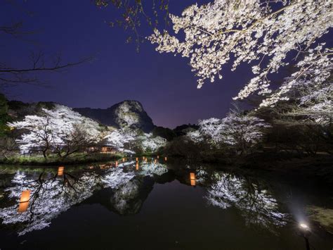 佐贺 Tatami 日本旅行