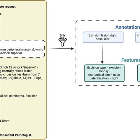Schematic Representation Of Annotations And Features These Items Of