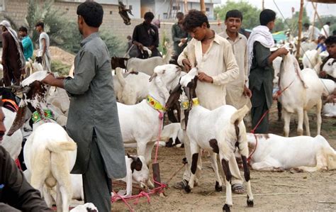 Federal Govt Announces Three Day Holiday For Eid Ul Adha The Upcut