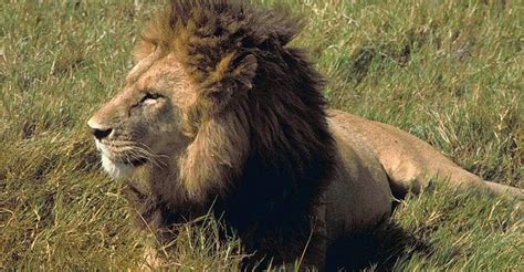 Bridget Cooley Becooley Twitter