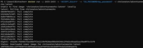 qlik lib docs Установка postgresql и mssql в docker с тестовой БД