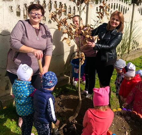 Angajații Copiii și Părinții De La Grădinița „t Sobolevschi” Se Implică în înverzirea și