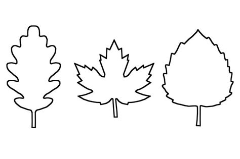 Leaf Template Free Printable Leaf Outlines One Little Project Leaf Large Pattern Scholastic