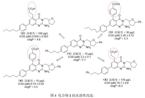 药物早期发现中的关键因素（一）：对先导化合物进行结构修饰改善药物溶解度摩熵医药