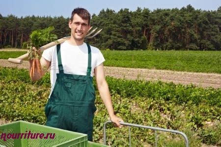 Кукурузная мука при повышенном холестерине, сахарном диабете и ...