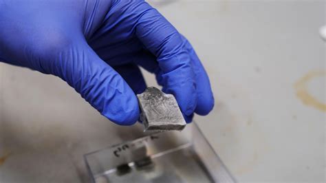 Bernd Wicklein El Investigador Que Ha Desarrollado Una Espuma Basada En Algas Capaz De Generar