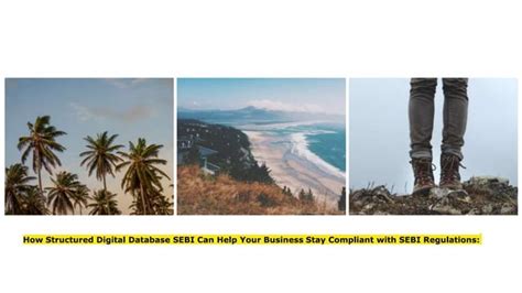 Structured Digital Database Sebi Pptx