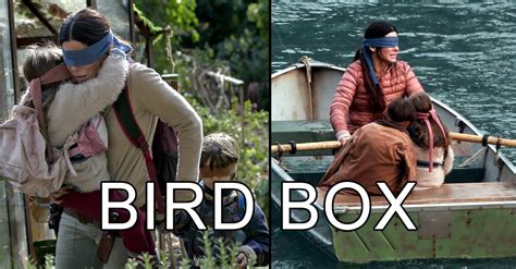 Watching Bird Box Is Like Having Sex That Ends Before It Should