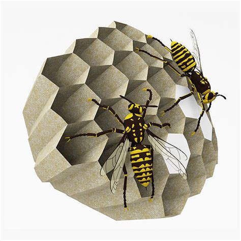 Wasp Nest 3d Model Cgtrader