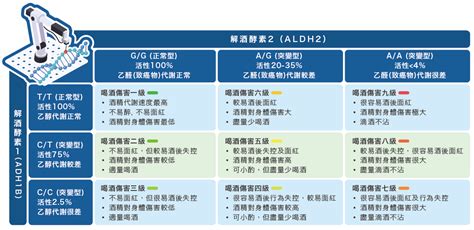酒毒風險酒精代謝基因檢測 Hkiphc