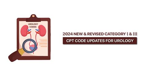 2024 Urology Cpt Code Updates What You Need To Know