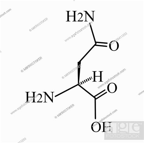 Asparagine Is An Amino Acid Chemical Molecular Formula Asparagine Is
