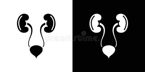 Urinary System Icon Isolated Flat Vector In Outline Stock Illustration