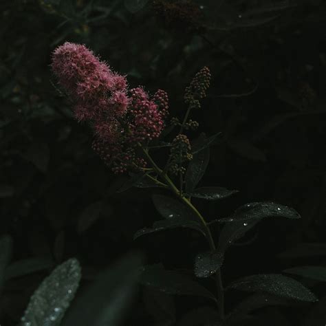 Cantainer Garden Photos Download The Best Free Cantainer Garden Stock