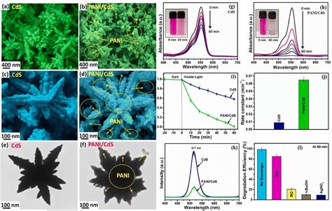 CdS Based 3D Nano Micro Architectures Formation Mechanism Tailoring