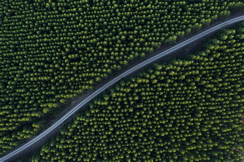 Text Preprocessing To Prepare For Machine Learning In Python — Natural