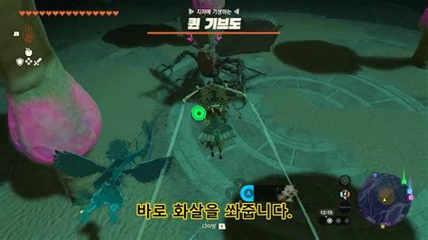 지저에 있는 퀸 기브도 잡기 젤다왕눈 Youtube