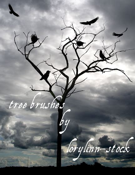Tree Brushes By Lorylinn Stock On DeviantArt