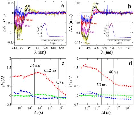Time Resolved Difference Absorption Spectra From A Crushed Single Pyp