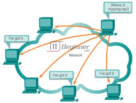 introduction to networks instructor materials chapter 10 application