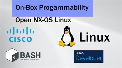Automating Network Device Configuration Updates In Netbox Using Ansible Python And Cron Jobs