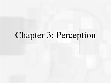 Ppt Chapter 3 Perception Powerpoint Presentation Free Download Id