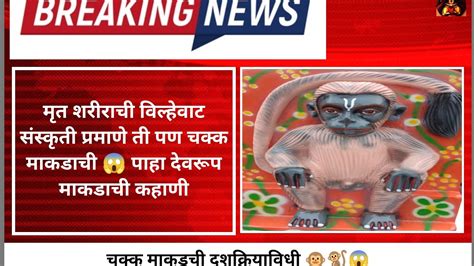 चकक मकडच दशकरय वध मरणततर दहव त पण मकडच पह परण वडओ YouTube
