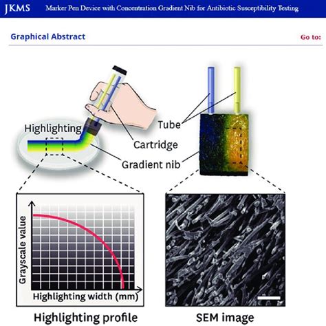Example Of Graphical Abstract Reproduced From Jung Yg Et Al J Korean Download Scientific