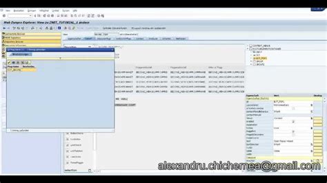 Build A Simple Web Dynpro Abap Application Create Popups Web Dynpro
