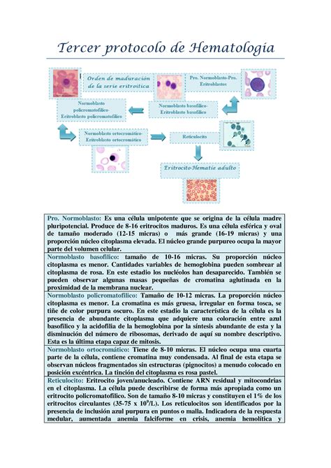 Hematologia Anormalidades De La Serie Eritrocitica Tercer Protocolo