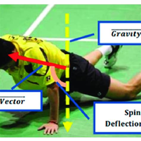 Sketch Of The Spine Deflection Angle Download Scientific Diagram