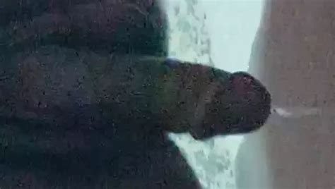 My Dick With Rocorded On Snap Xhamster