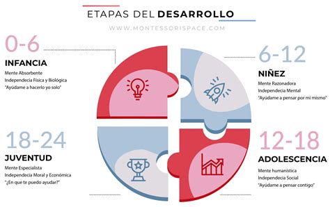 Los 4 Planos Del Desarrollo De Montessori Imi