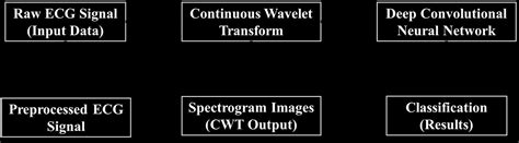 Ecg Signal Classification Of Cardiovascular Disorder Using Cwt And Dcnn