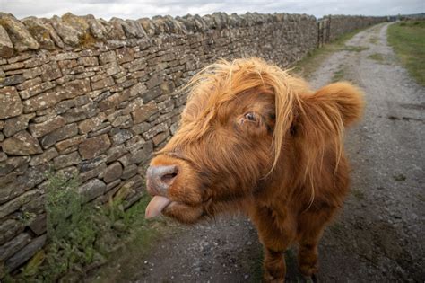 Danielle Needham Photography