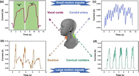Application Of Wrinkle Structured Mxene Film Based Pressure Sensor For Download Scientific