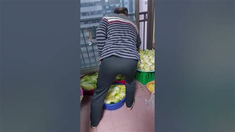 절인배추가 짤때 안짜게 하는방법 Youtube