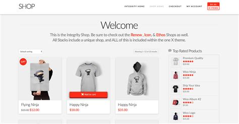 Fastest WooCommerce Themes For Your Business Web