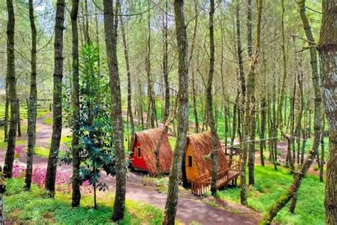 Pesona Kamojang Ecopark Objek Wisata Hits Di Garut Yang Dilengkapi