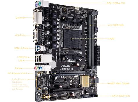 Asus A Hm K Motherboard Compatible Gpu At Alice Hager Blog