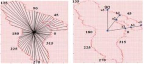 Optical Flow Based Feature Extraction For Human Actions Download