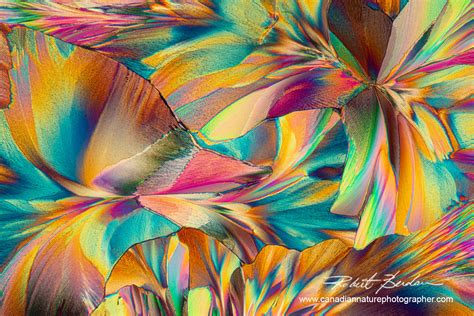 The Science And Art Of Wine Crystals By Polarized Light Microscopy