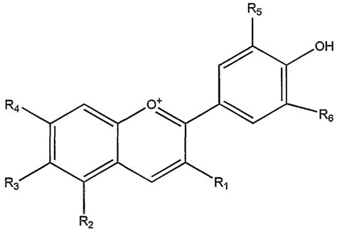 Anthocyanin - Alchetron, The Free Social Encyclopedia