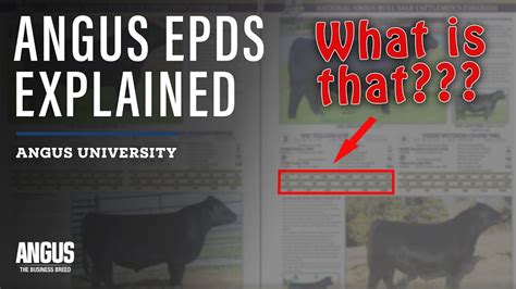 Epds And Genomics 101 Expected Progeny Difference Explained Youtube