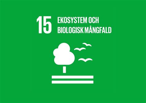 Ekosystem Och Biologisk Mångfald Sensus
