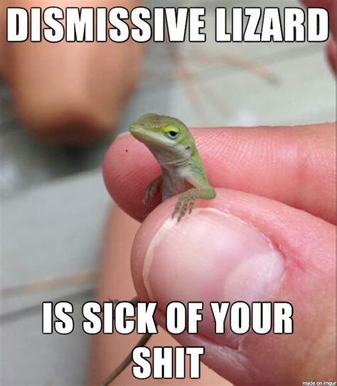 Dismissive Lizard Imgur