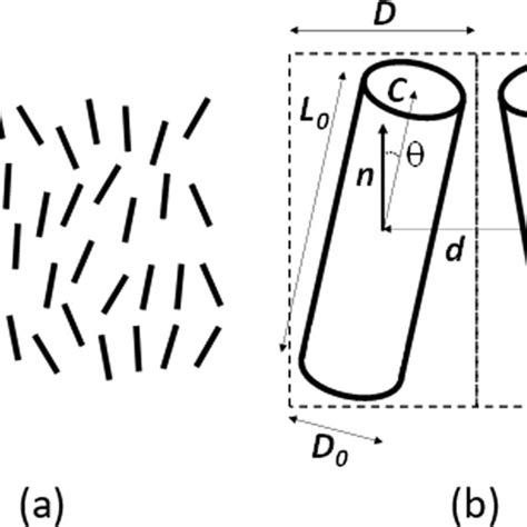 Schematic Representation A Of A Nematic Liquid Crystal Short Bars Download Scientific